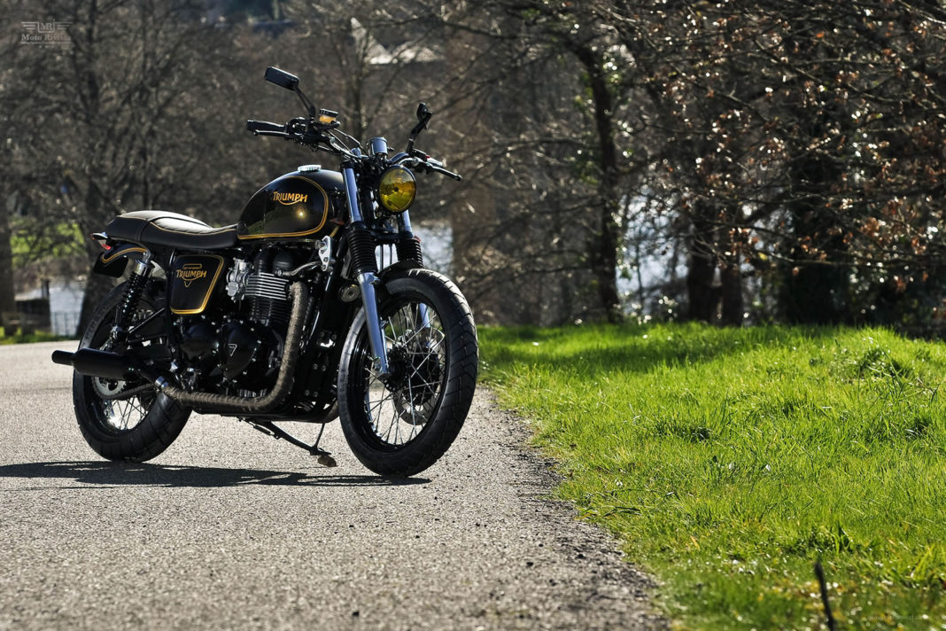Triumph Bonneville Gold Edition by FCR