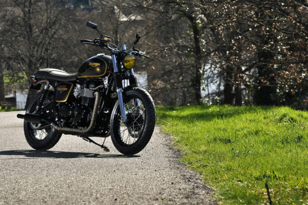 Triumph Bonneville Gold Edition by FCR